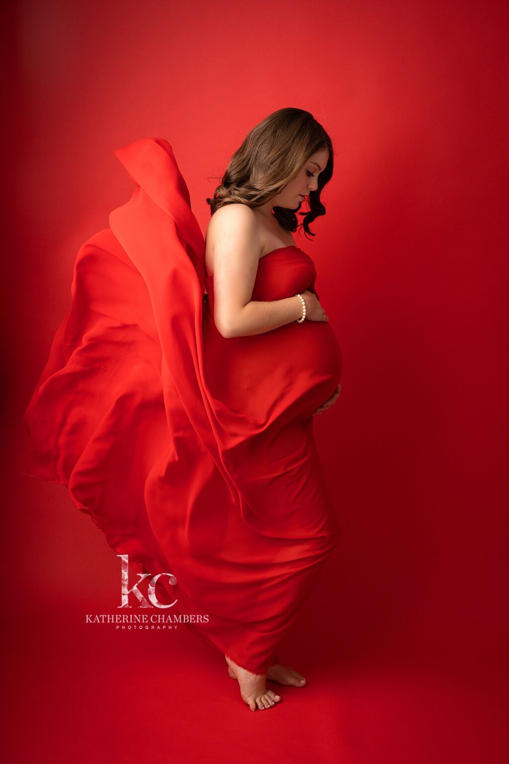 Cleveland Fine Art Maternity - Cleveland Newborn & Baby Photographer ...